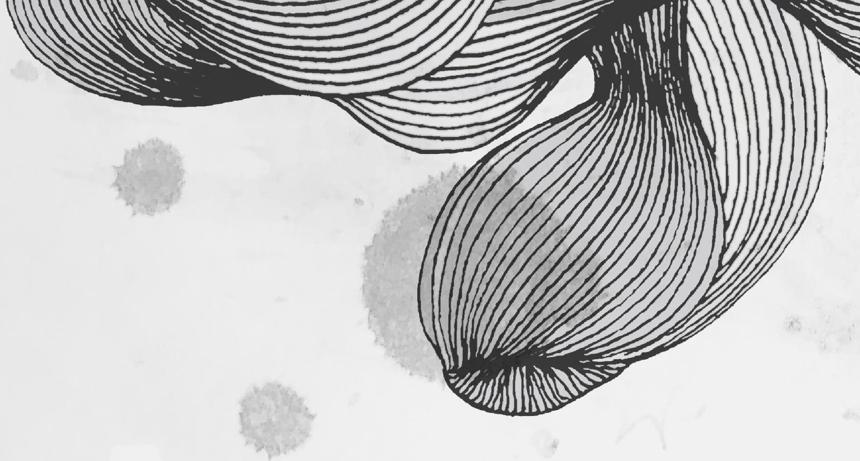 Credits & Supporters | The Things We Did Next