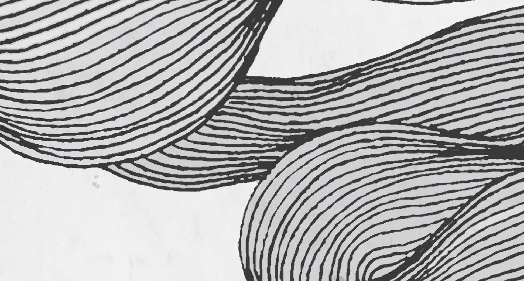 The Things We Made Next | The Things We Did Next